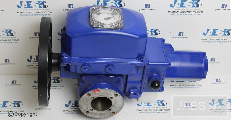 Jaes srl - BERNARD CONTROLS - SQ-60 COPPIA 600NM